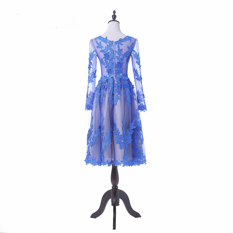 Transparent Of Sexy Long-sleeved Homecoming Dresses Brief Paragraph ...